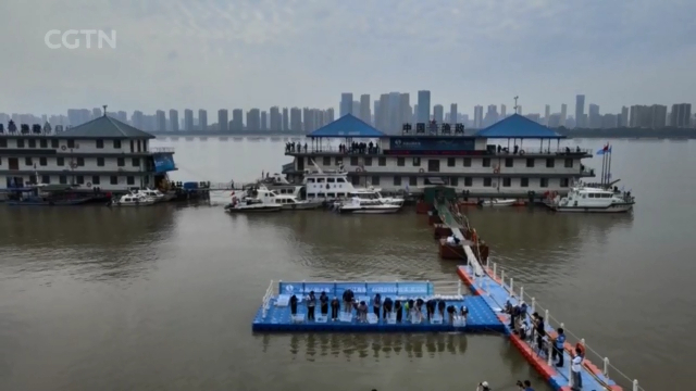 Yangtze Protection: Hundreds of thousands of rare native fish released ...