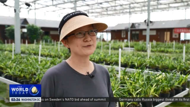 China Rural Vitalization: Green Rural Revival Program delivers new ...