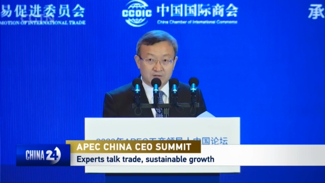 APEC China CEO Summit: Experts talk trade, sustainable growth - CGTN