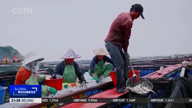 High-Quality Development: Building a sustainable, technologically ...