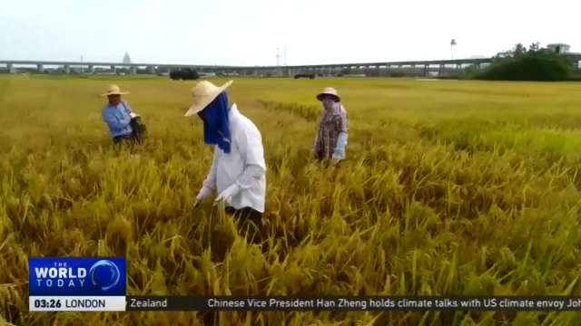 Asian Agricultural Cooperation: Asian consortium set up to boost ...