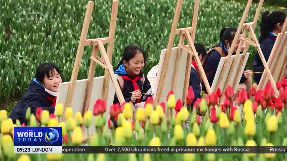 China Education: The growing popularity of study tours in China - CGTN