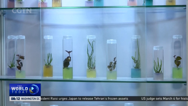 Crop Breeding Technology: China's first electron accelerator for crop ...