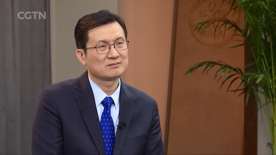 Belt and Road Initiative Turns 10: CGTN interviews China International Cooperation Agency ...