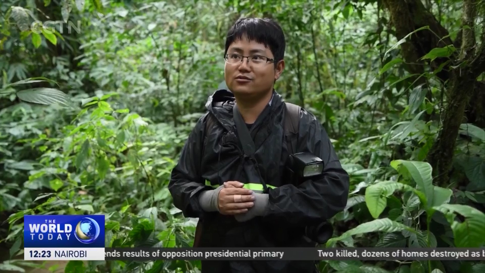Motuo Road 10 Years On: Biodiversity hotspot in Xizang attracts young ...