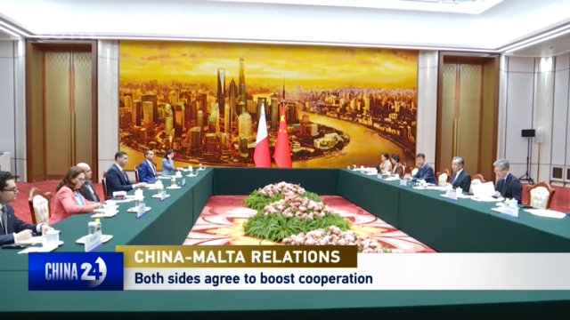 China-Malta Relations: Wang Yi meets Maltese foreign minister in ...
