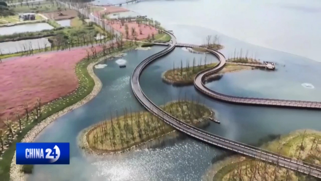Integrated Development: Yangtze River Delta region is Shanghai, Jiangsu ...