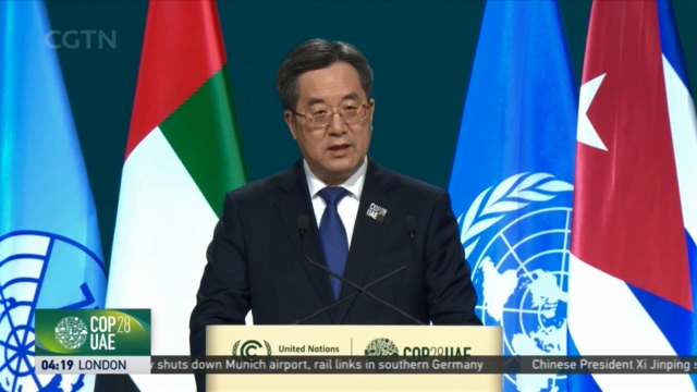 UN Climate Conference: China stresses interests of developing nations ...