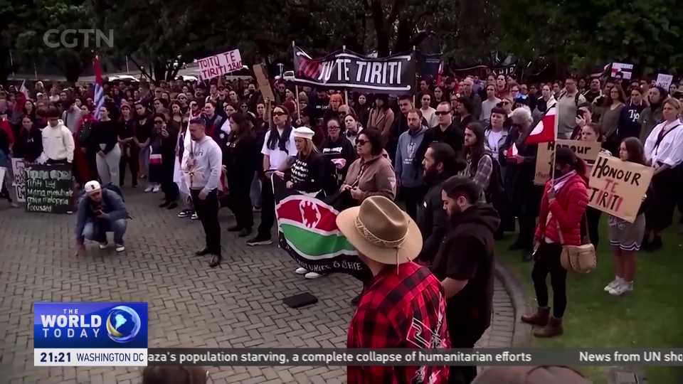New Zealand Protests: Thousands rally against new coalition government ...