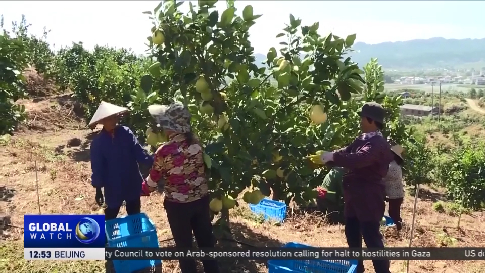 Empowering Farmers: Agricultural livestreaming revolution in Jiangxi ...