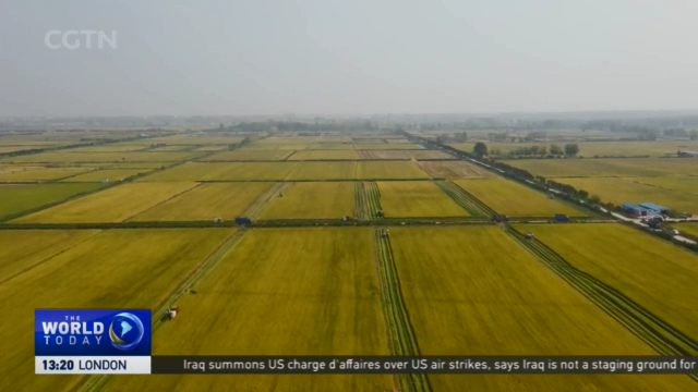 Path to Rural Revitalizatio: China releases 'No.1 central document' for ...