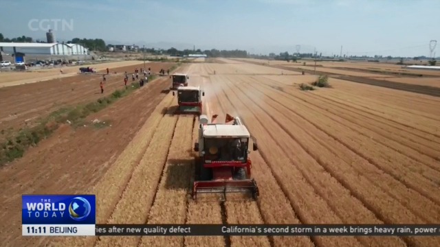 Road to Rural Revitalization: China's 'No. 1 central document' lays out ...