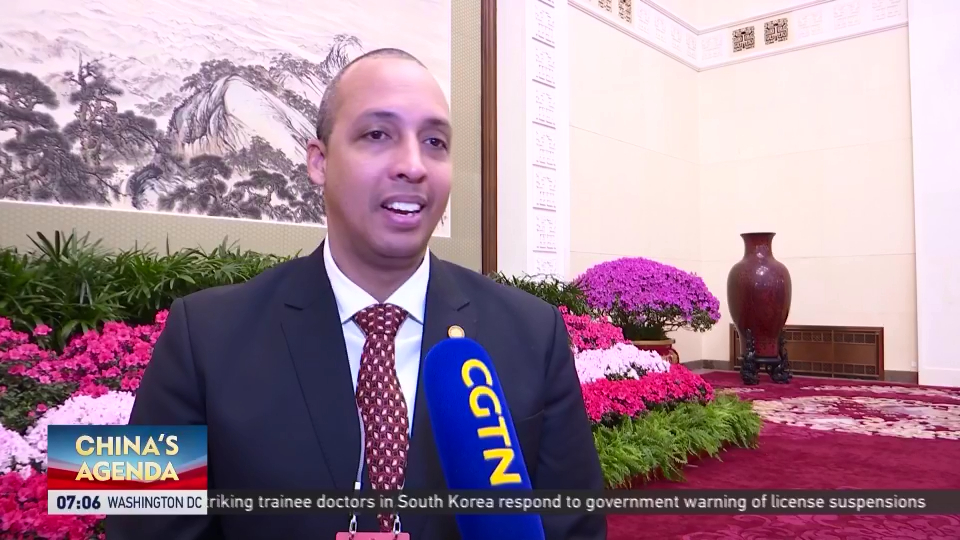 NPC & CPPCC 2024: Diplomatic envoys on China's Two Sessions - CGTN