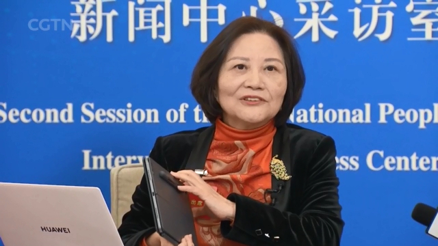 Two Sessions 2024: NPC Deputy: Digitalization boosts work efficiency - CGTN