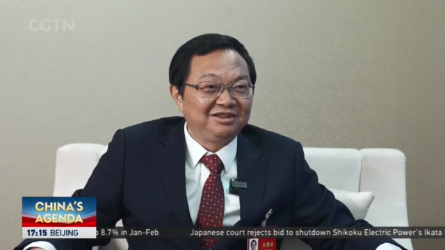 NPC & CPPCC 2024: NPC Deputy: SOEs play key role in driving new quality productive forces - CGTN