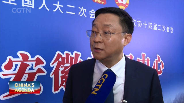 NPC & CPPCC 2024: NPC Deputy Liu Qingfeng proposes creation of national ...