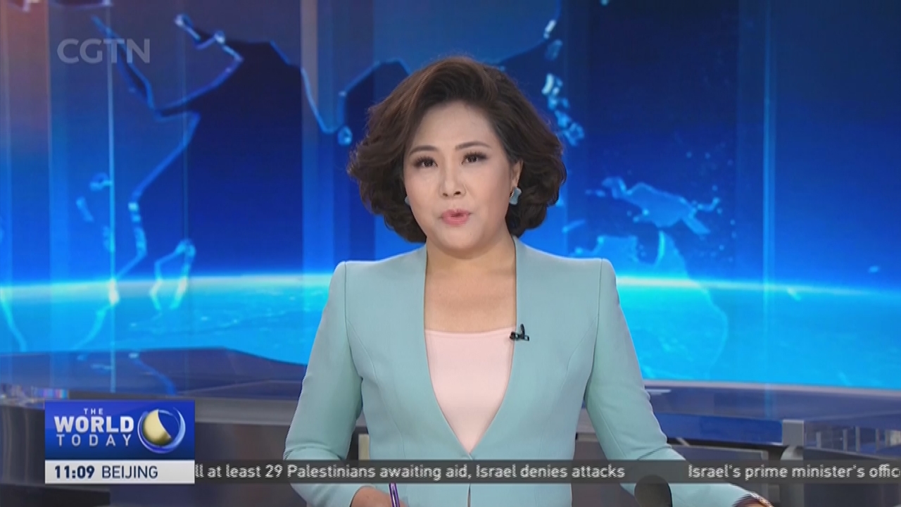 Marine Animal Rescued: Stranded whale shark towed back to deep sea in ...