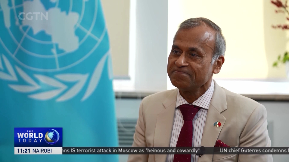 A Shared Future: UN official: No peace without development, no ...