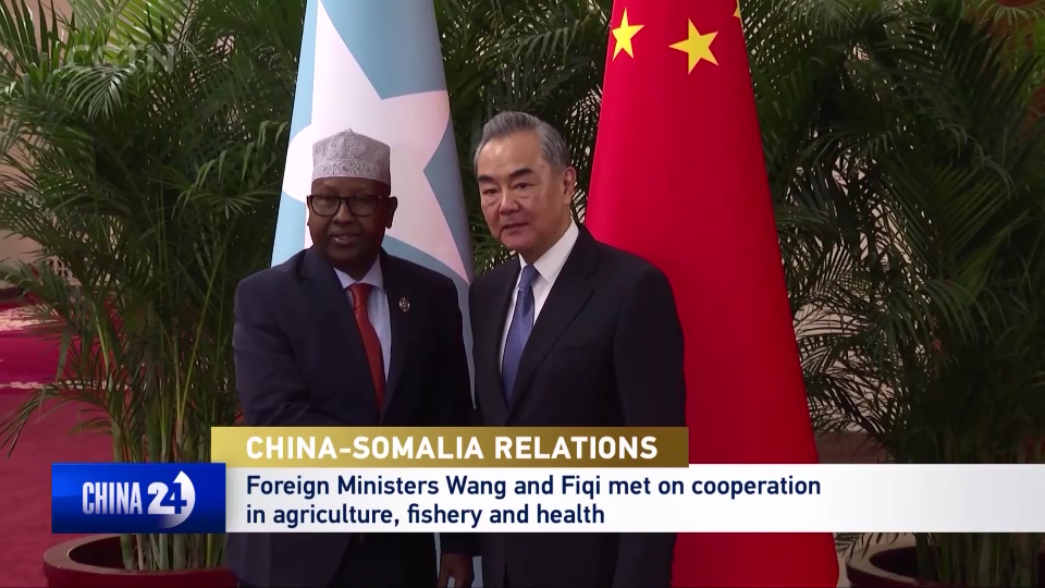 China-Somalia Relations: Foreign Ministers Wang and Fiqi met on ...