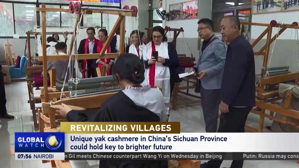 Revitalizing Villages: Unique yak cashmere in China's Sichuan Province ...