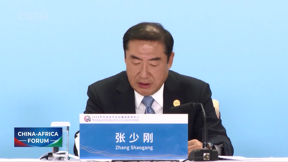 2024 FOCAC Summit: 382 Chinese business representatives, 408 African ...