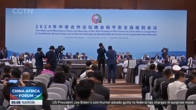 2024 FOCAC Summit: Officials: Peace and stability are foundations for ...