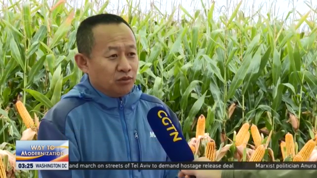 Way to Modernization: Cutting-edge technology transforms barren land into lush fields - CGTN