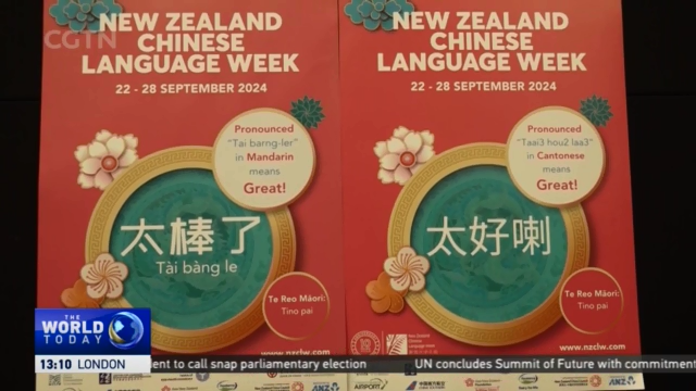 China-New Zealand Ties: New Zealand celebrates 10th anniversary of ...