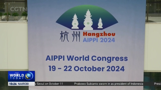 Intellectual Property: 2024 AIPPI World Conference showcases China's ...