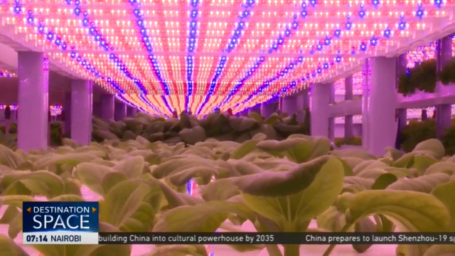Shenzhou-19 Crew Ready for Space: Exploring a high-tech vegetable ...