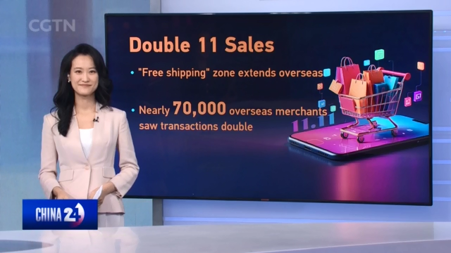 Double 11 Shopping Festival: Longest Double 11 Day shopping spree ...
