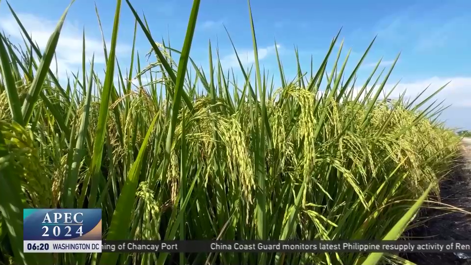 'Empower, Include, Grow' Malaysian pilot project yielding big boost to ...