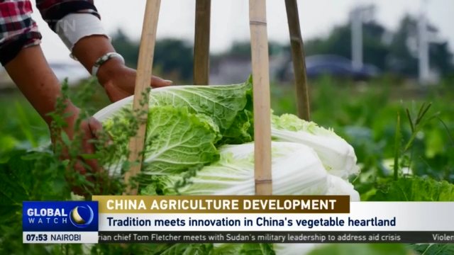 China Agriculture Development: Tradition meets innovation in China's ...