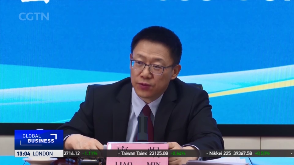 China Economy: Ministry of Finance holds press briefing following '1+10 ...