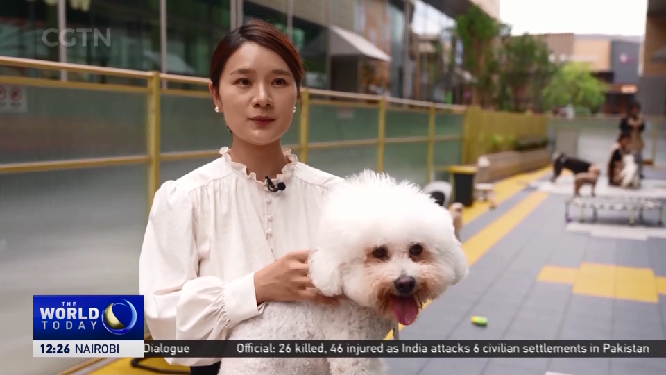 Creating New Consumption: Paws, People, Profit: Young innovators lead ...