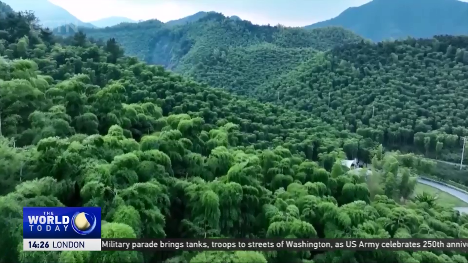 Village Revitalization: Sustainable development philosophy guides ...