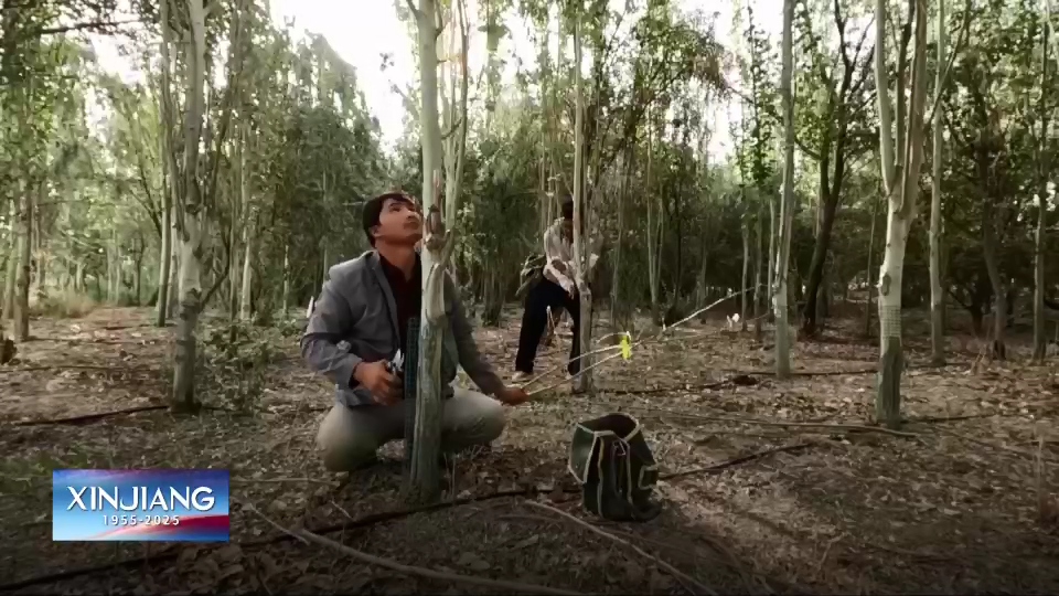 Progress and Prosperity: How desert fighters are reclaiming the ...