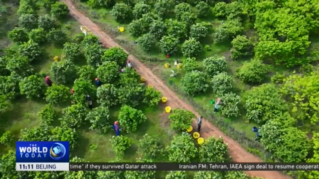 China Protects Natural Resources: China maintains 'red line' for ...