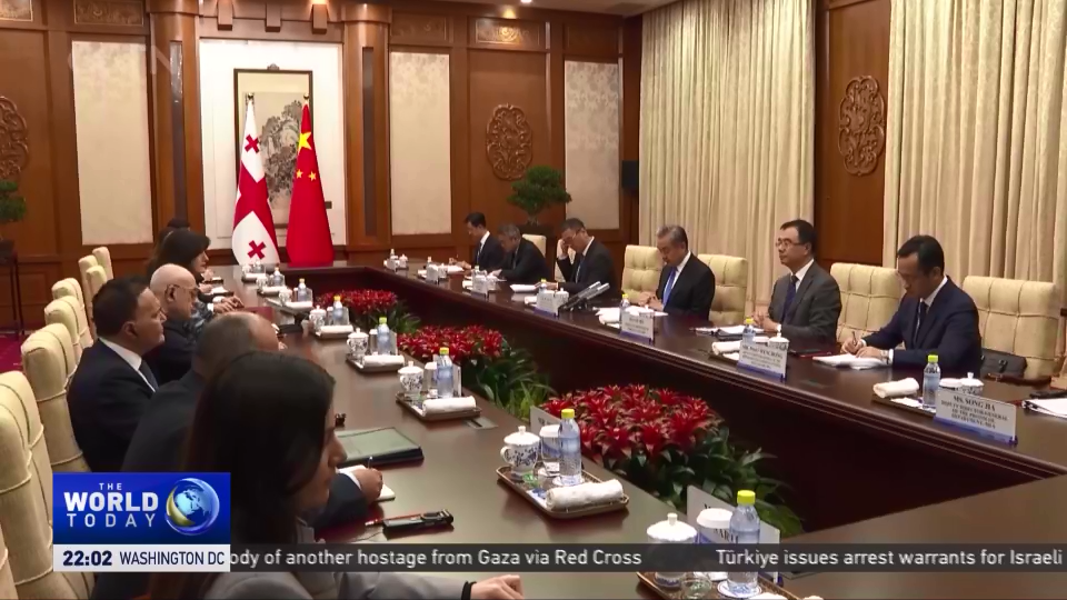 China-Georgia Relations: China, Georgia strengthen ties during FM's ...